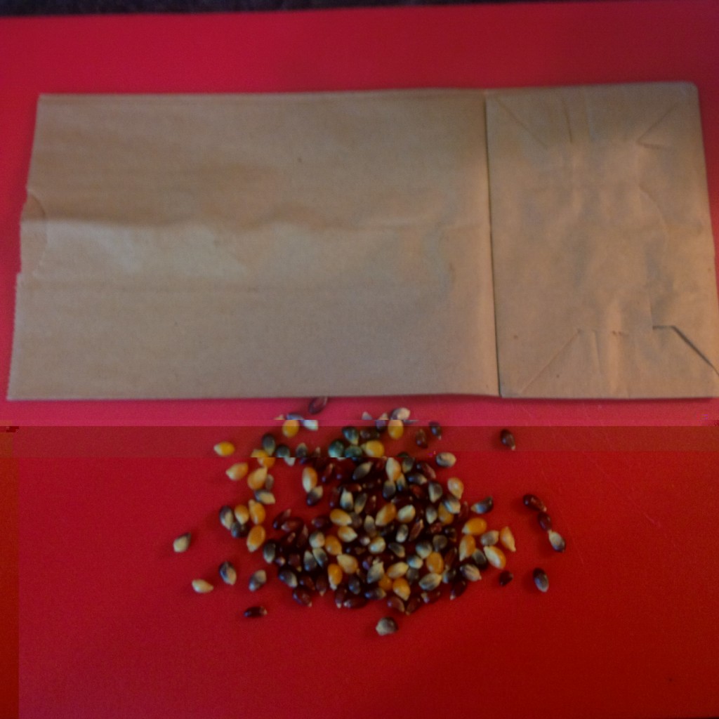 Homemade Microwave Popcorn for pennies!